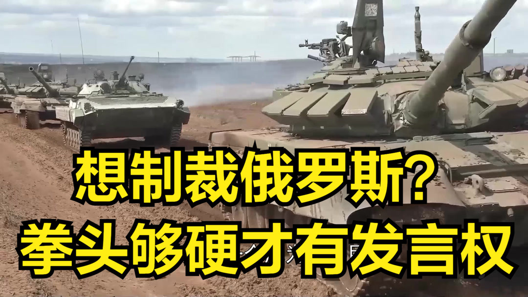 想制裁俄罗斯?普京直接出手懒得废话,拳头够硬才有发言权!