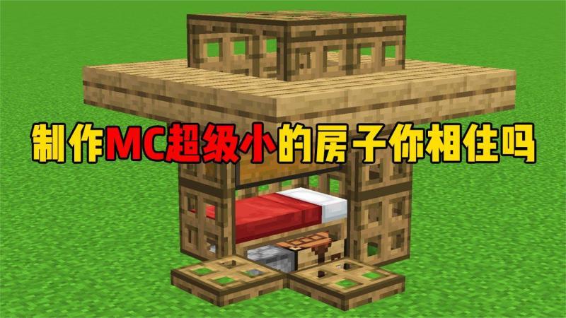 我的世界:制作MC超级小的房子,这种房子你会住吗?