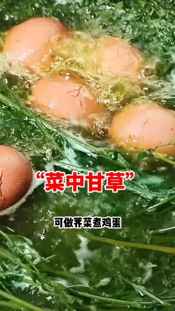 春天来了,采些荠菜煮鸡蛋,作用厉害,你吃过吗?