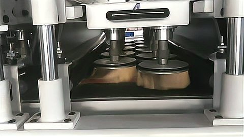 森德威重型异型砂光机(亮派办公家具木皮底漆打磨)