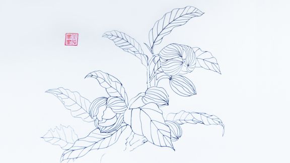 零基础学习钢笔画,好看易学!