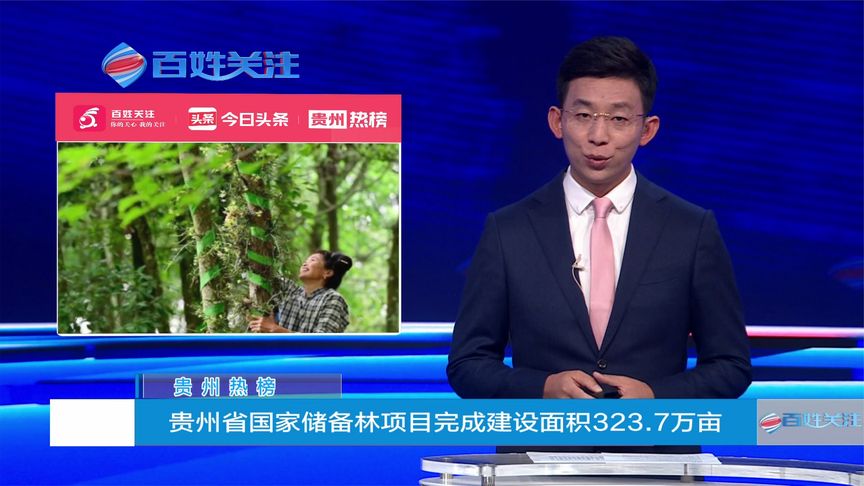 贵州热榜|贵州省国家储备林项目完成建设面积323.7万亩