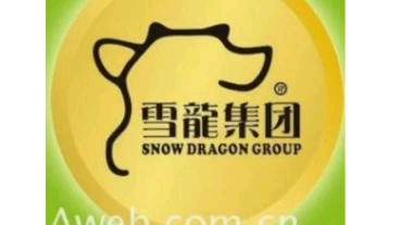 雪龙股份有限公司2022年财务报表分析,财务分析报告