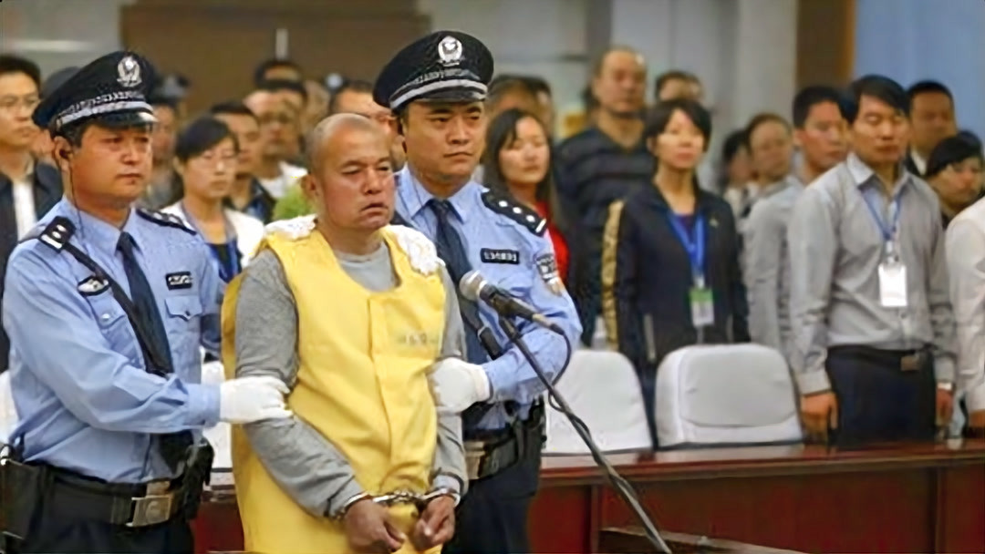 罪犯王书金被执行死刑!