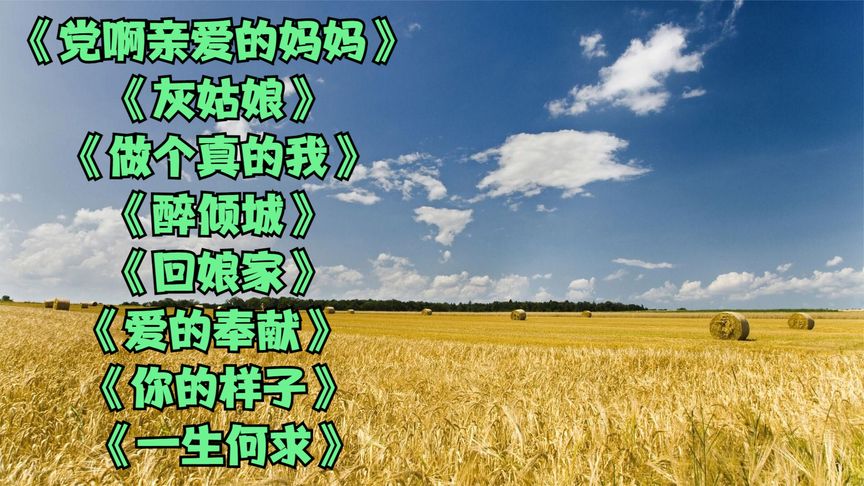《回娘家》 《爱的奉献》 《你的样子》 《一生何求》