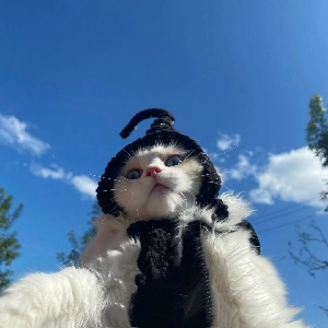 好吃的三氟化氯 