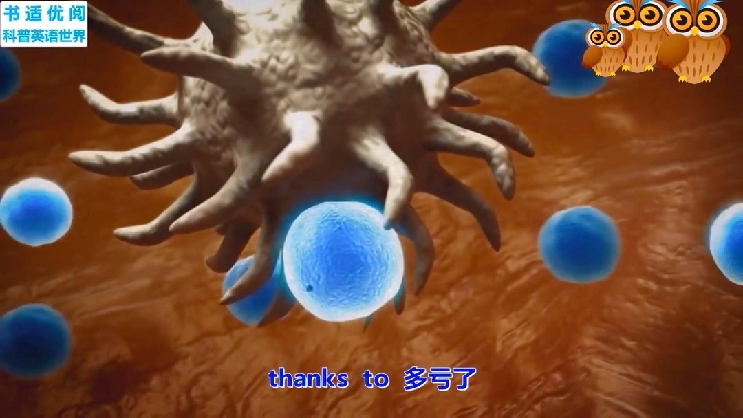 新冠病毒的传播一个病毒携带者可传染给多少人 科普知识英语学习