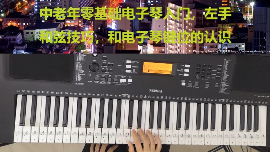 初学电子琴入门自学教程,零基础视频,老师一步一步教会你