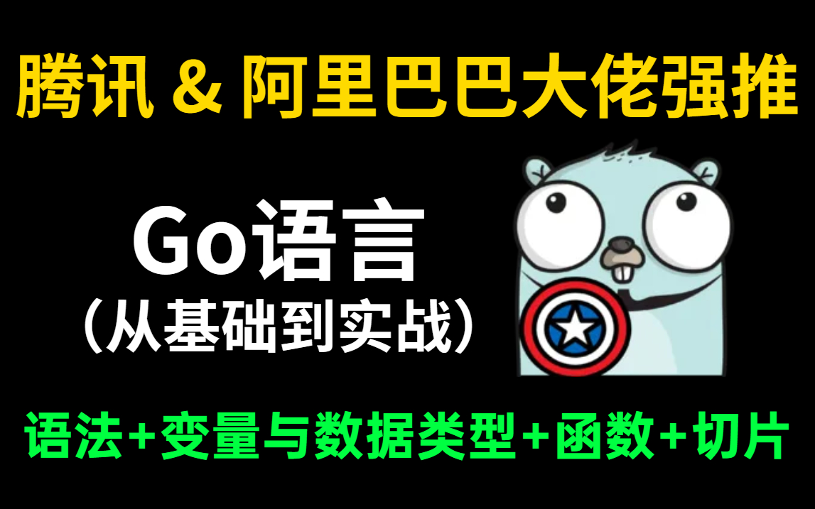【Golang教程100集】2022年B站最适合新手学的Go语言从理论入门到...