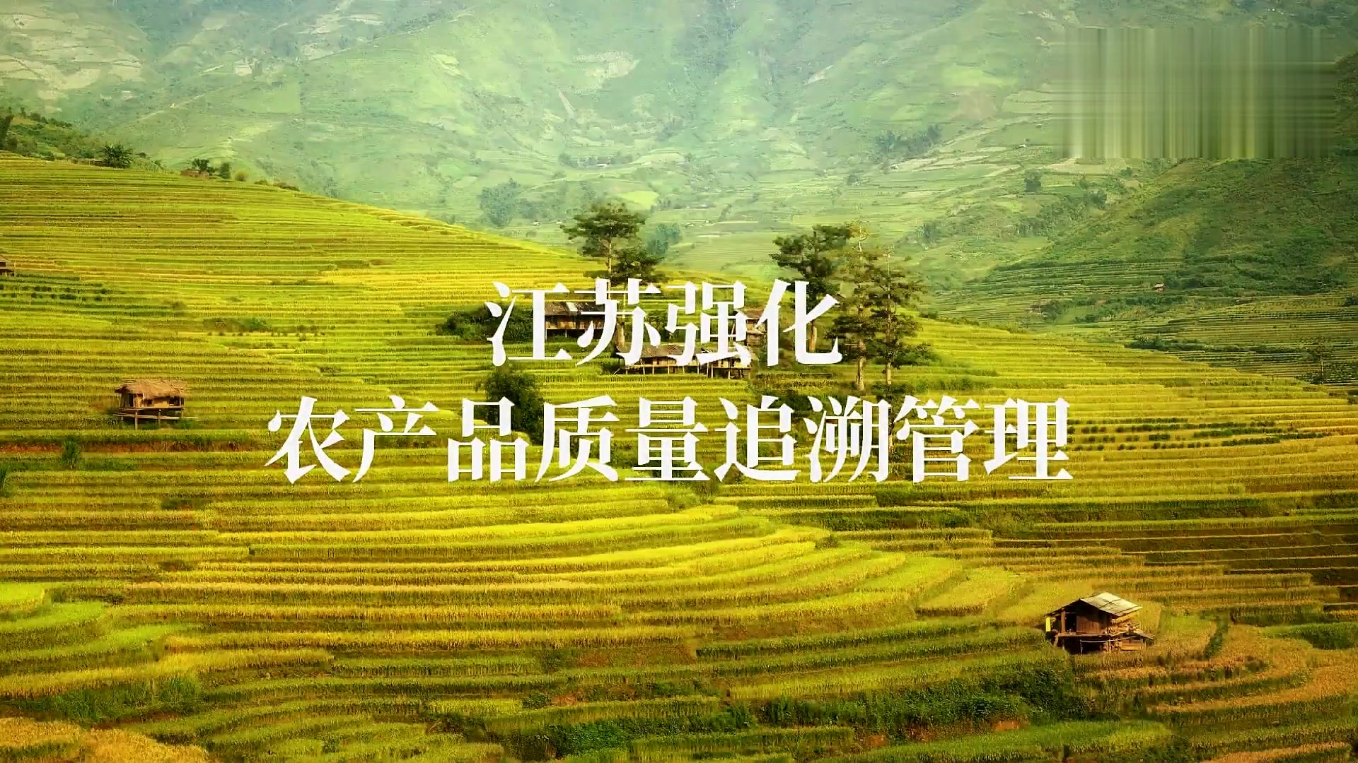江苏强化农产品质量追溯管理