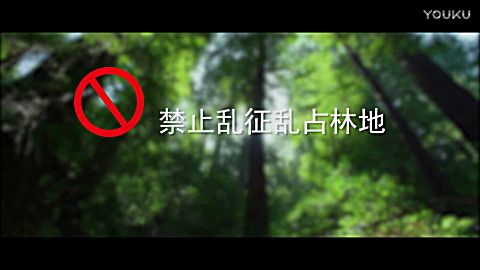 德安县林业局保护动植物宣传片-