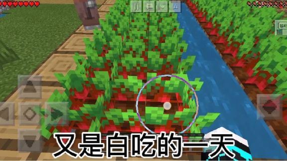我的世界:打死你也不知道的,我的世界小妙招!(铁门篇)