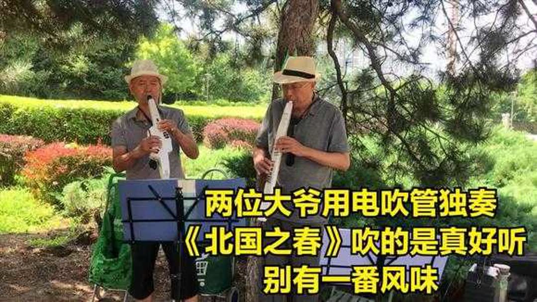 模仿一百种乐器的电吹管演奏《美丽的草原我的家》感觉真的棒极了