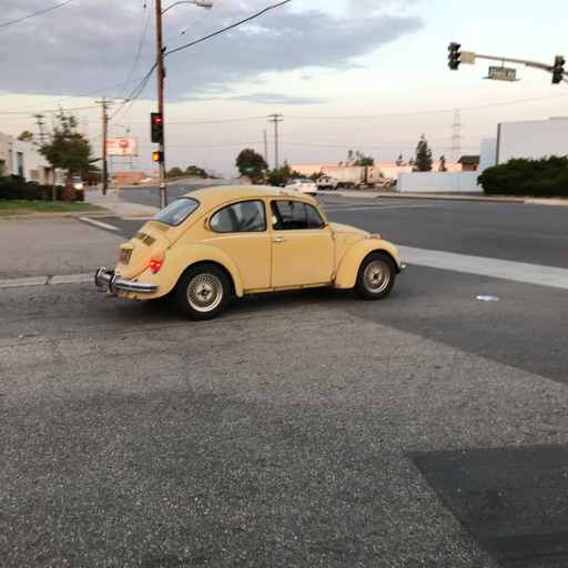 紫毛仓鼠球-王梅西 