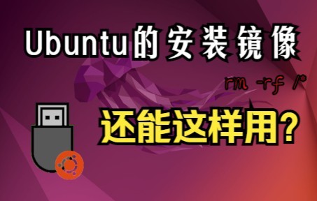 【Ubuntu】在安装镜像里运行删库指令会怎样?