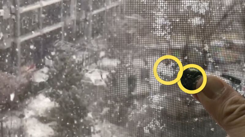 不给春天丝毫面子!哈尔滨四月突降大雪,雪花和硬币一样大