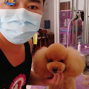 宠物美容师顺子金宠 