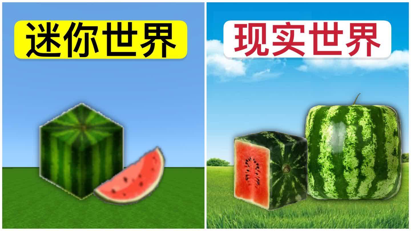 迷你世界:游戏VS现实,原来现实中的西瓜也是方的,我第一次见到