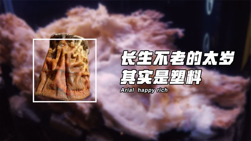 一口长生不老的太岁其实不是仙药而是塑料?解开"太岁"的秘密