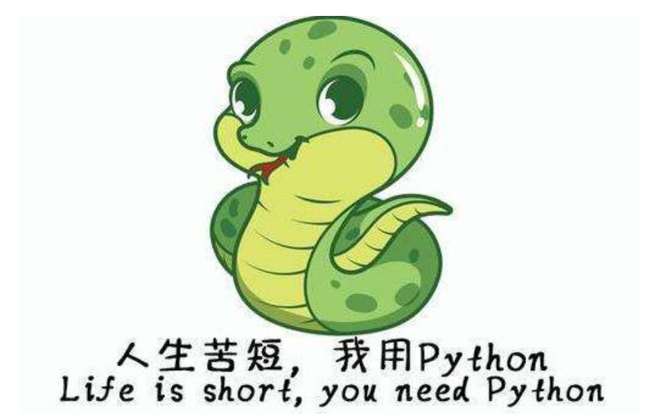 为什么说Python是最适合小白入门编程的语言?