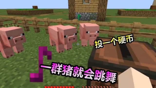 MC我的世界:投一个硬币,一群猪就会跳舞,这个模组太好玩了
