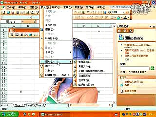 Excel电子表格篇插入图片和剪贴画