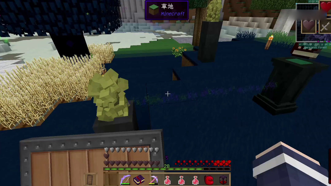 执行仪式,建立深渊传送门※我的世界※星夜深渊传说 EP.11