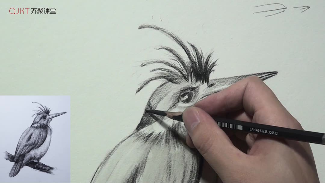 素描鸟的表现技法(对鸟的大形体和羽毛的描绘) (二)