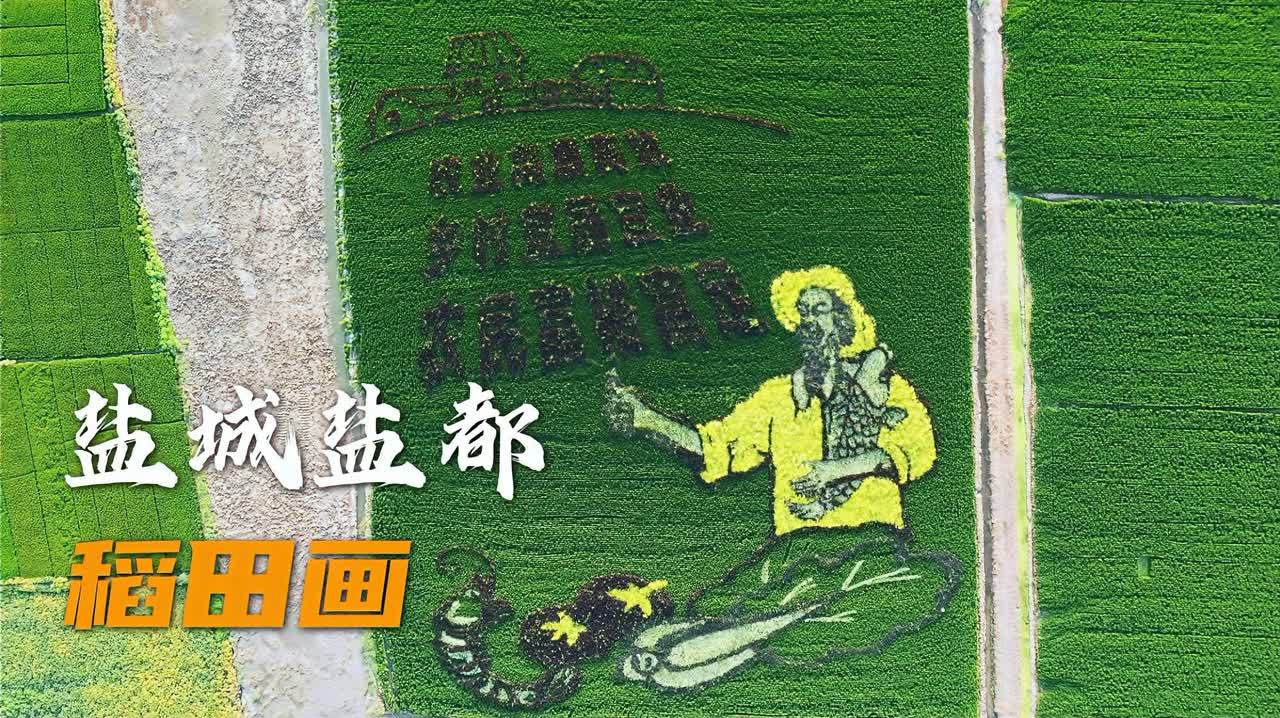 高空俯视盐城盐都稻田画,五色稻苗栽植而成,北斗定位助力绘画