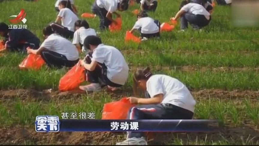 广州等多地学校推出“劳动课”全方面锻炼学生动手能力
