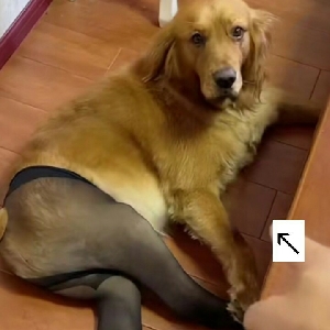 我们是朋友kk 