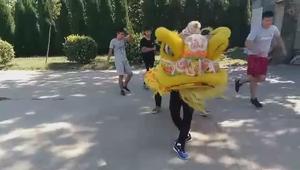 振奋人心的传统文化“舞狮”