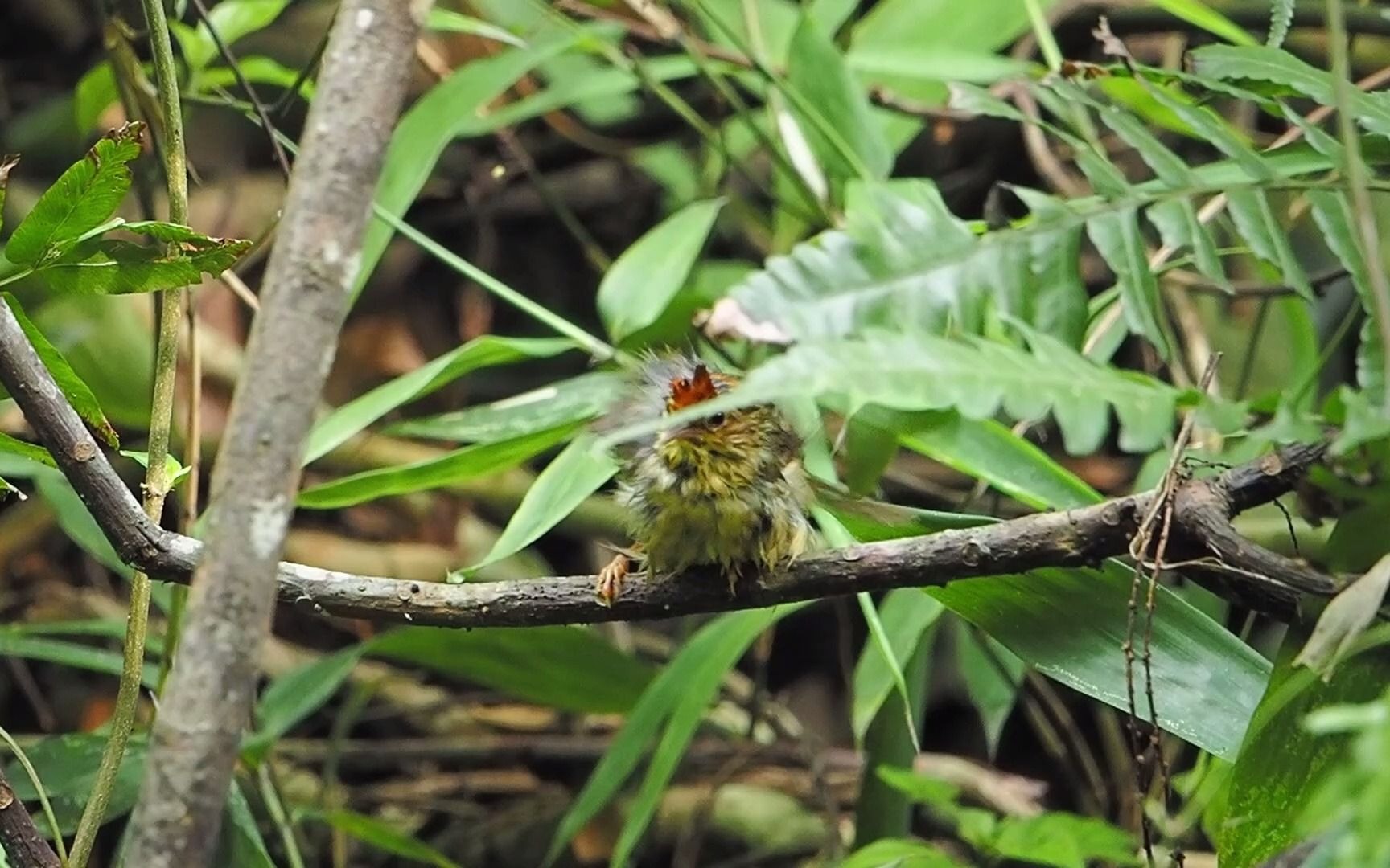 课程作业|生态拍摄记录