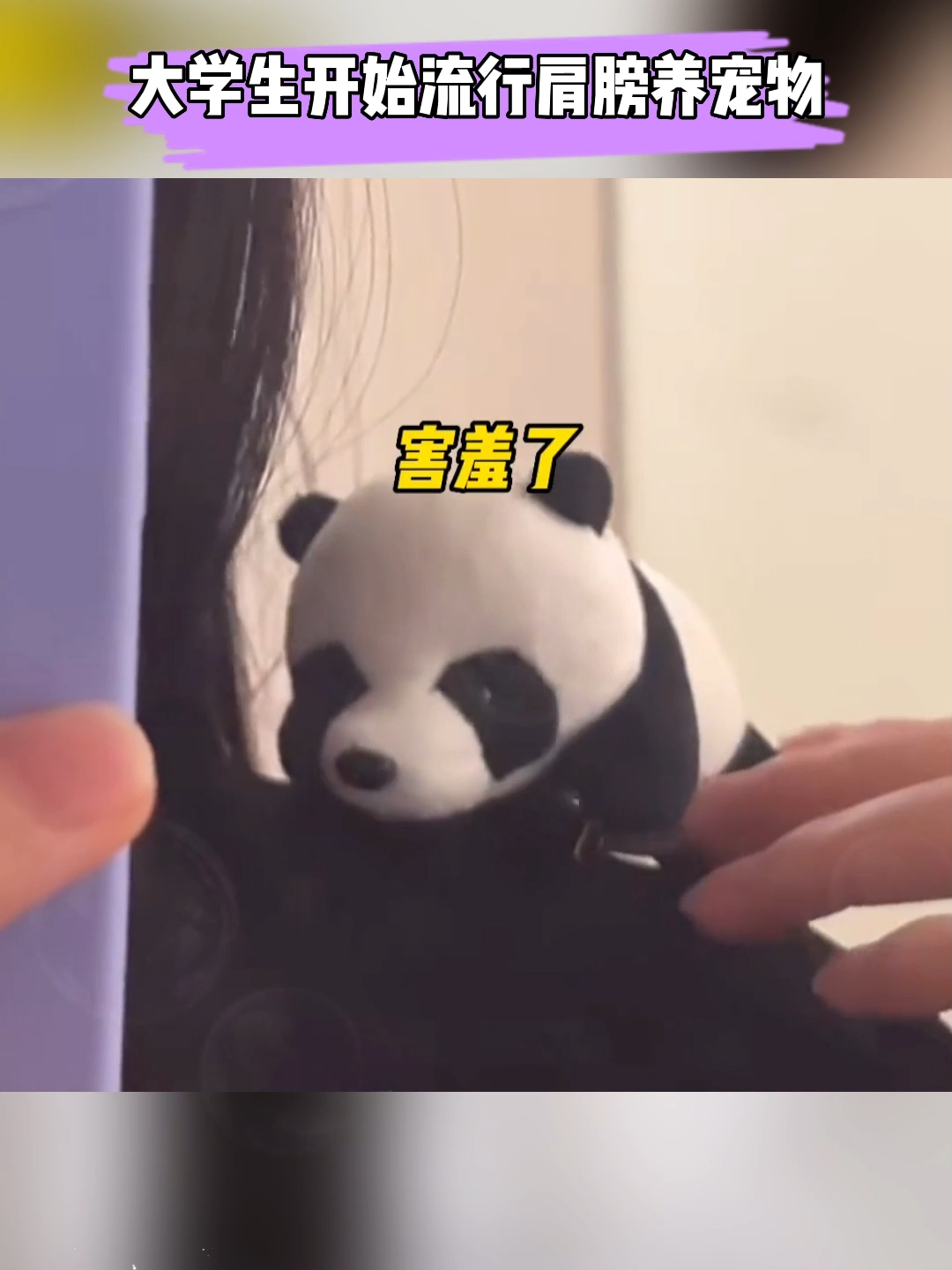 现在大学生都流行在肩膀上养宠物了