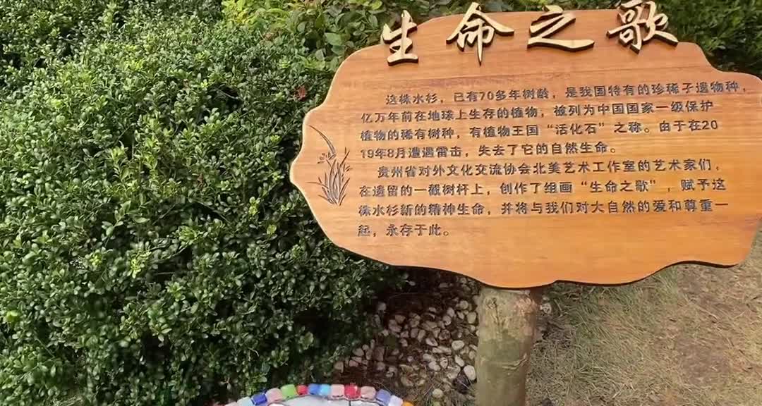 健康中国行·贵州公德公天下宣传推广活动暨《生命之歌》落成典礼举行