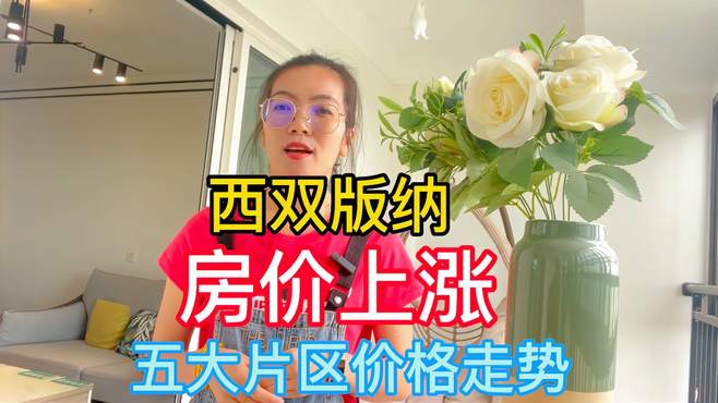 西双版纳房价上涨各个片区价格走势 房价还会降价么该不该买房