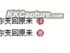 YY纯手动字幕