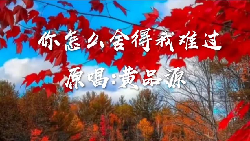 老歌经典:你怎么舍得我难过