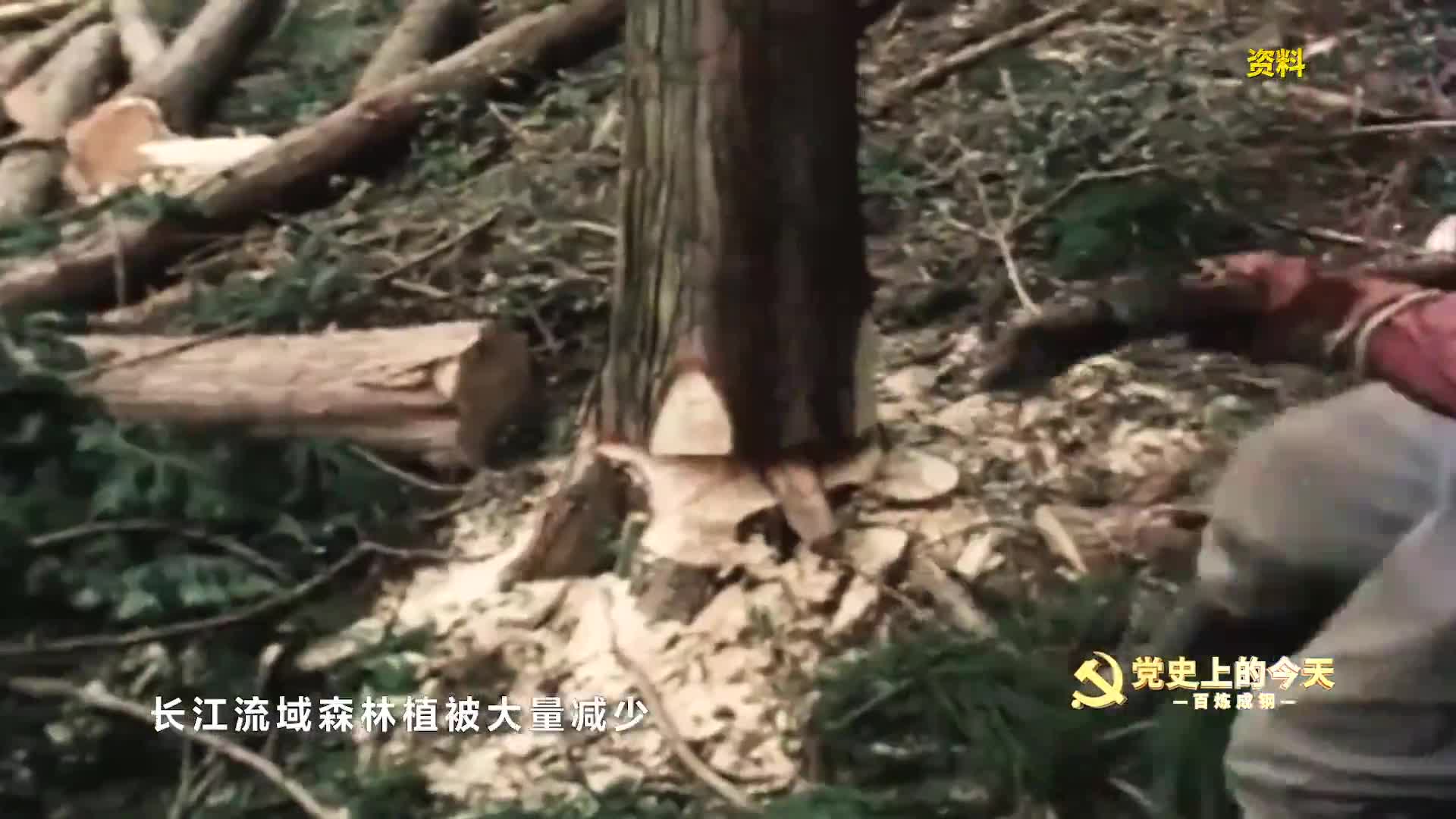 【每日一学】百炼成钢1990年5月7日,长江中上游防护林体系建设工程...