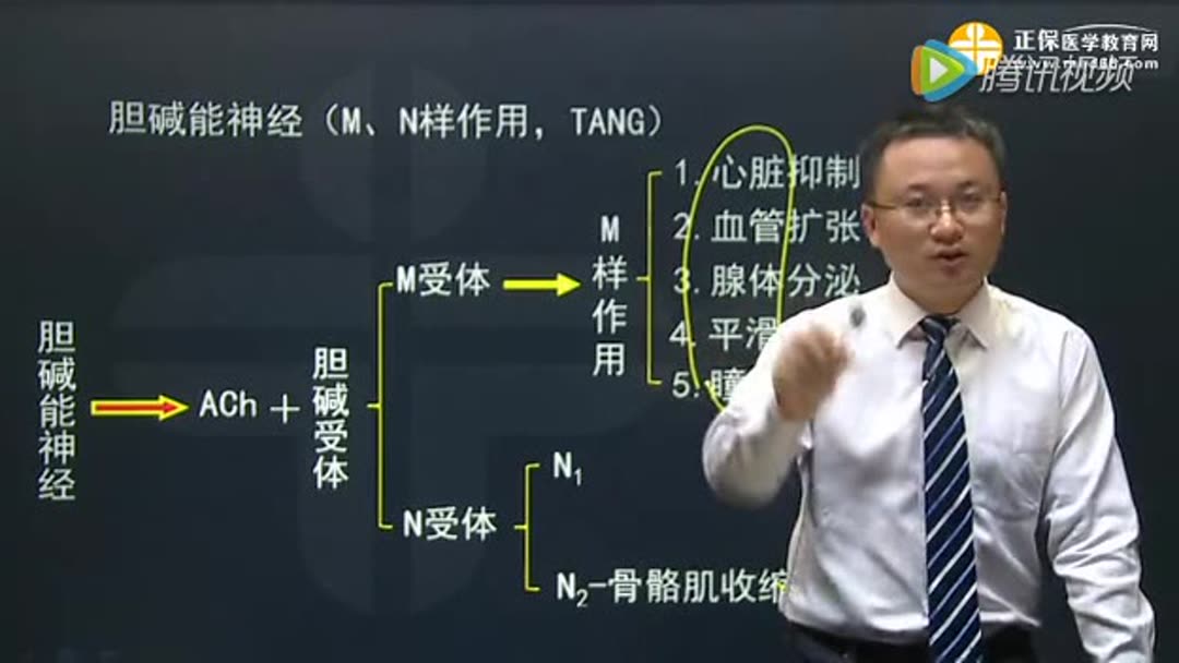 17临床助理-药理学 第01讲 胆碱受体激动药