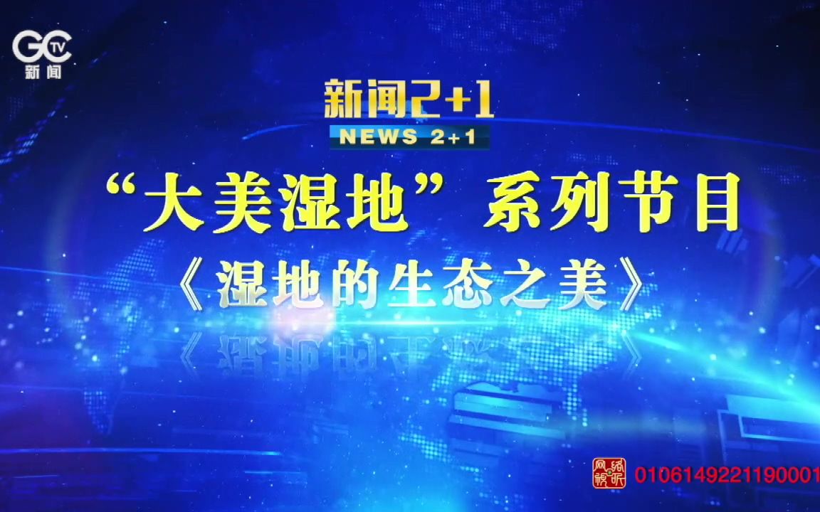 《新闻2+1》“大美湿地”系列节目:湿地的生态之美