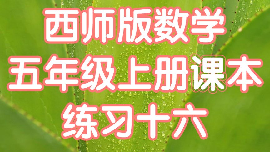 西师版数学五年级上册课本练习 (16)学浪计划