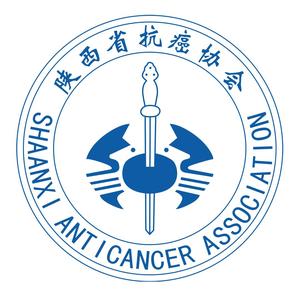 进取山雀XV 