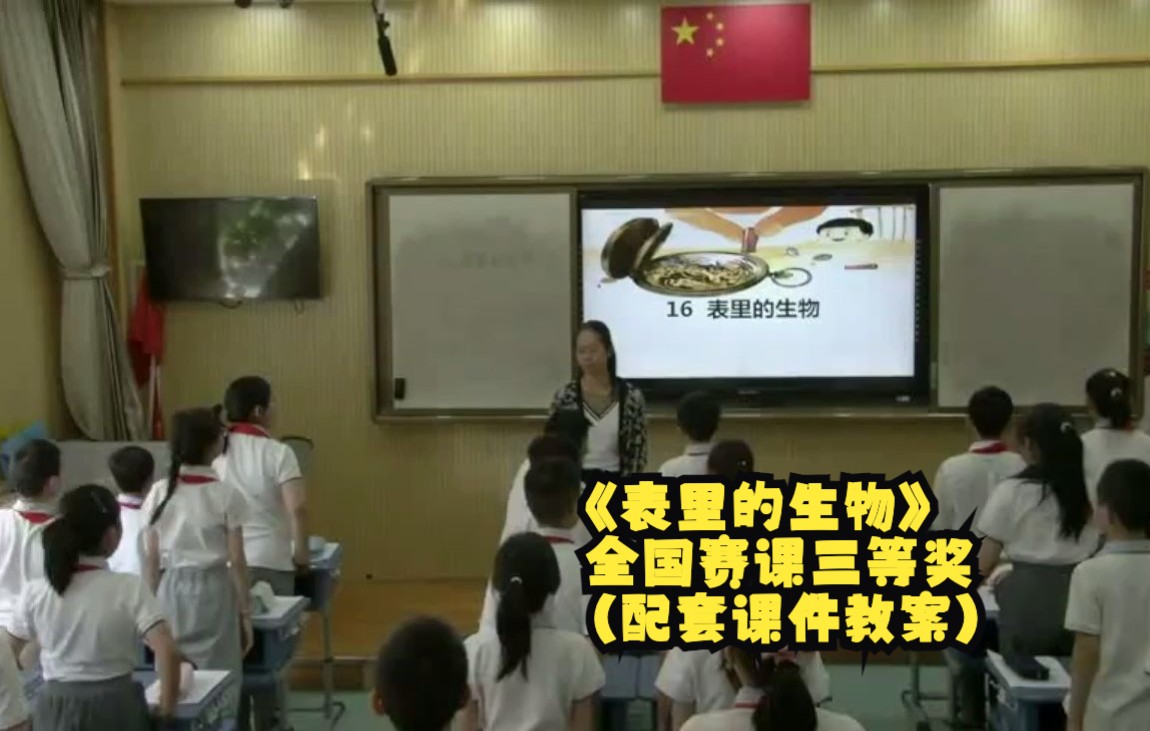 六下16《表里的生物》苟晓琰 全国赛课三等奖(配套课件教案)