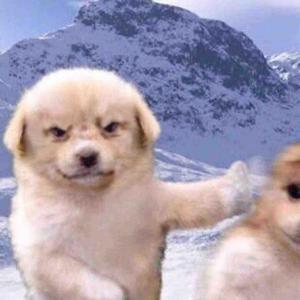 无语了拍带星 