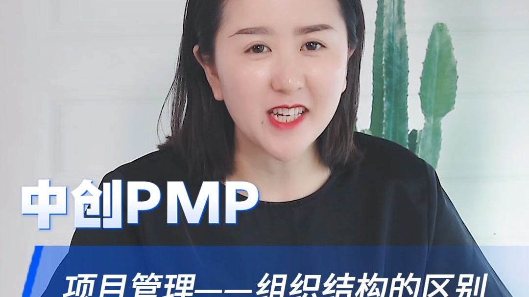 7)PMP知识讲解--组织结构的区别