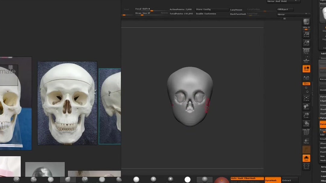 【ZBrush】ZBrush中文版人体头骨建模雕刻基础教程(国语)