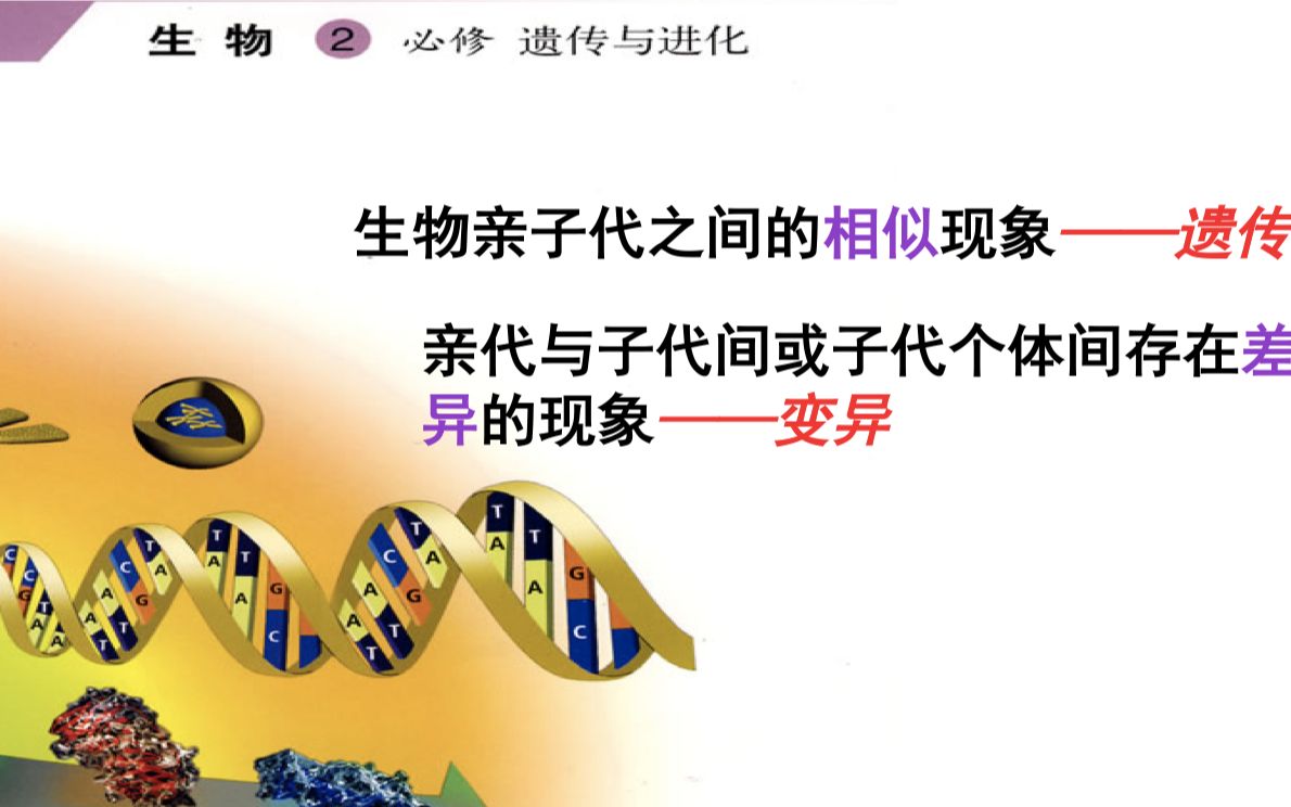 连续自交和自由交配的具体计算问题