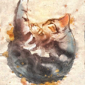 自信爆棚的秃头少年 