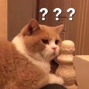 我真的是老猫啊 